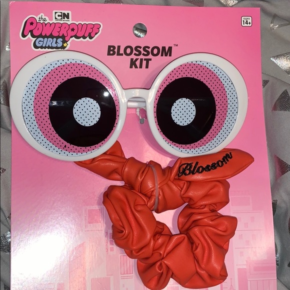 Spirit | Accessories | The Powerpuff Girls Blossom Kit | Poshmark